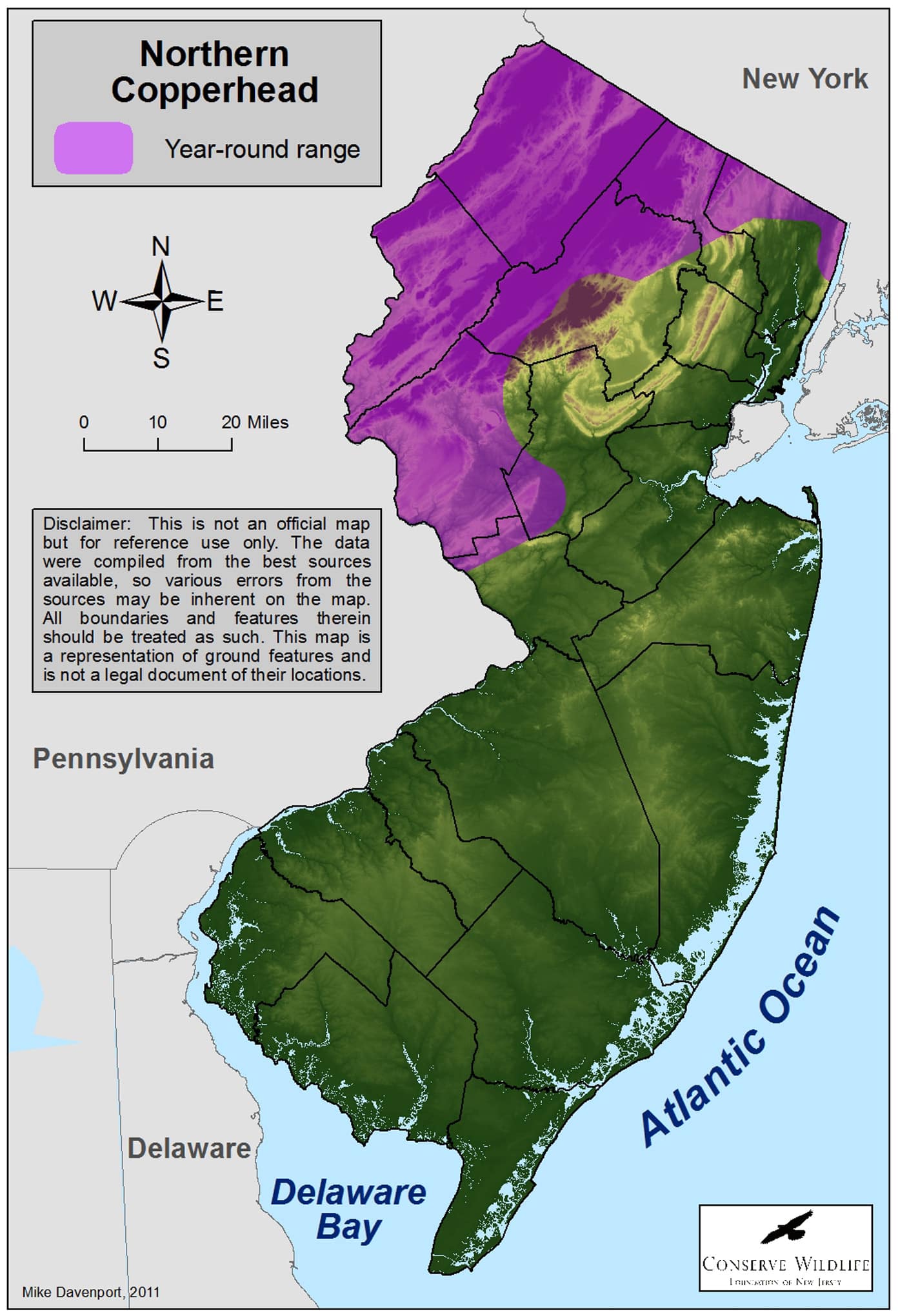 Eastern copperhead - Conserve Wildlife Foundation of NJ