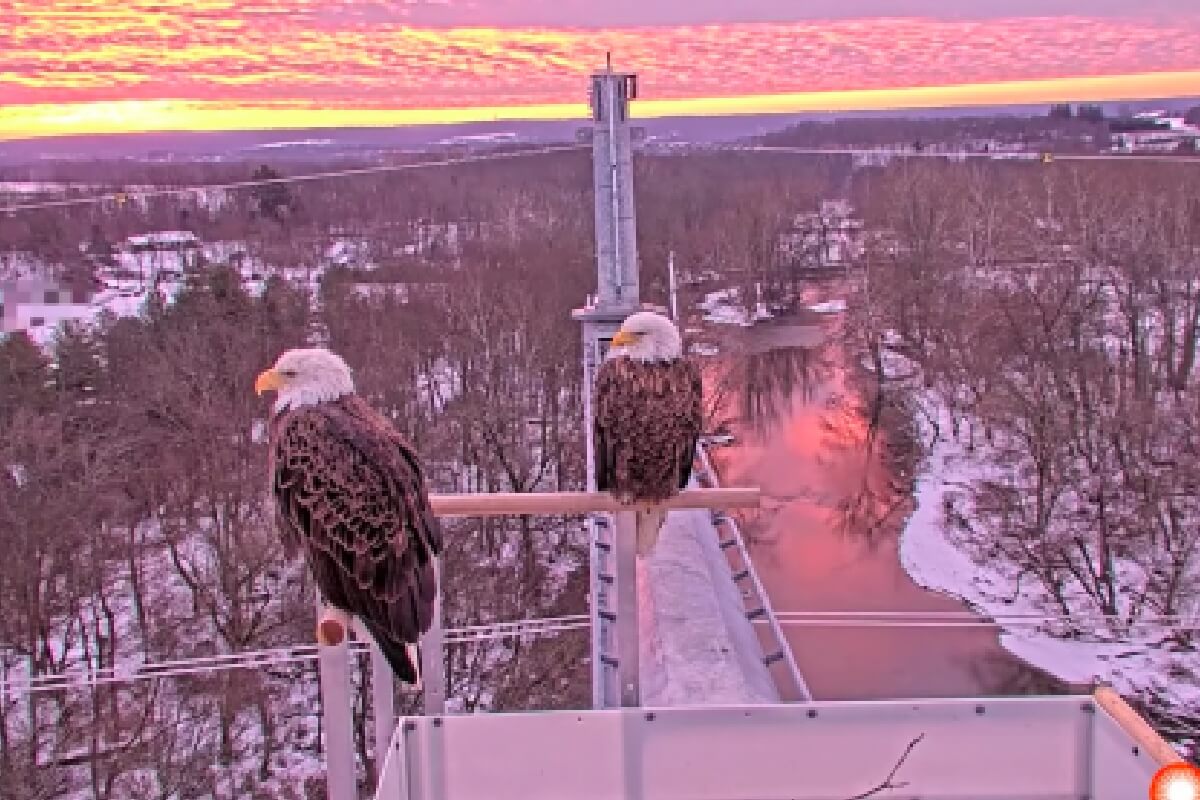 Fracking in the Delaware River Basin - Conserve Wildlife Foundation of NJ