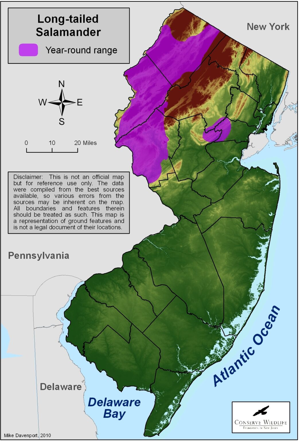 Long-tailed salamanader - Conserve Wildlife Foundation of NJ