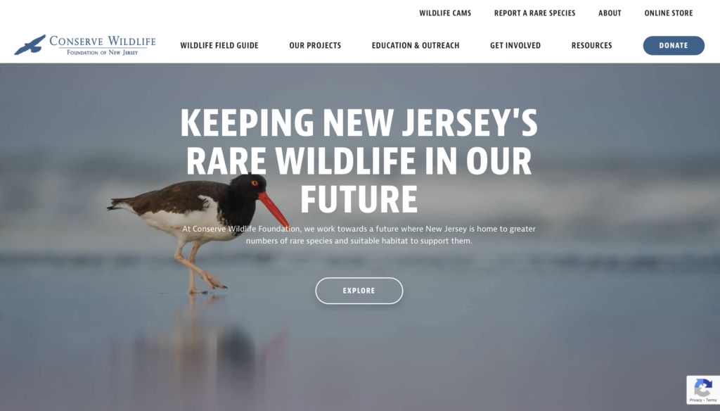 CWF Launches New Website! - Conserve Wildlife Foundation of NJ