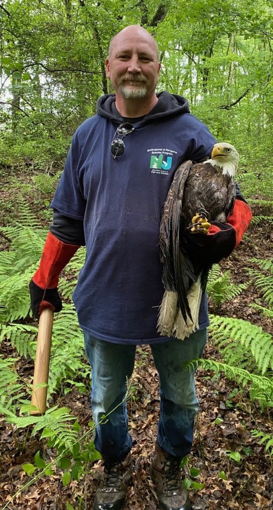Bald Eagle Project - Conserve Wildlife Foundation of NJ