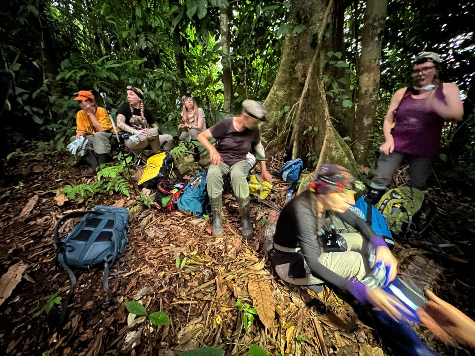Bats in Costa Rica - Conserve Wildlife Foundation of NJ