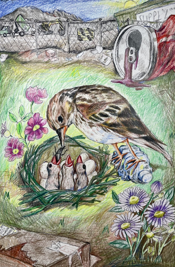 2025 SPECIES ON THE EDGE ART & ESSAY CONTEST WINNERS ANNOUNCED ...