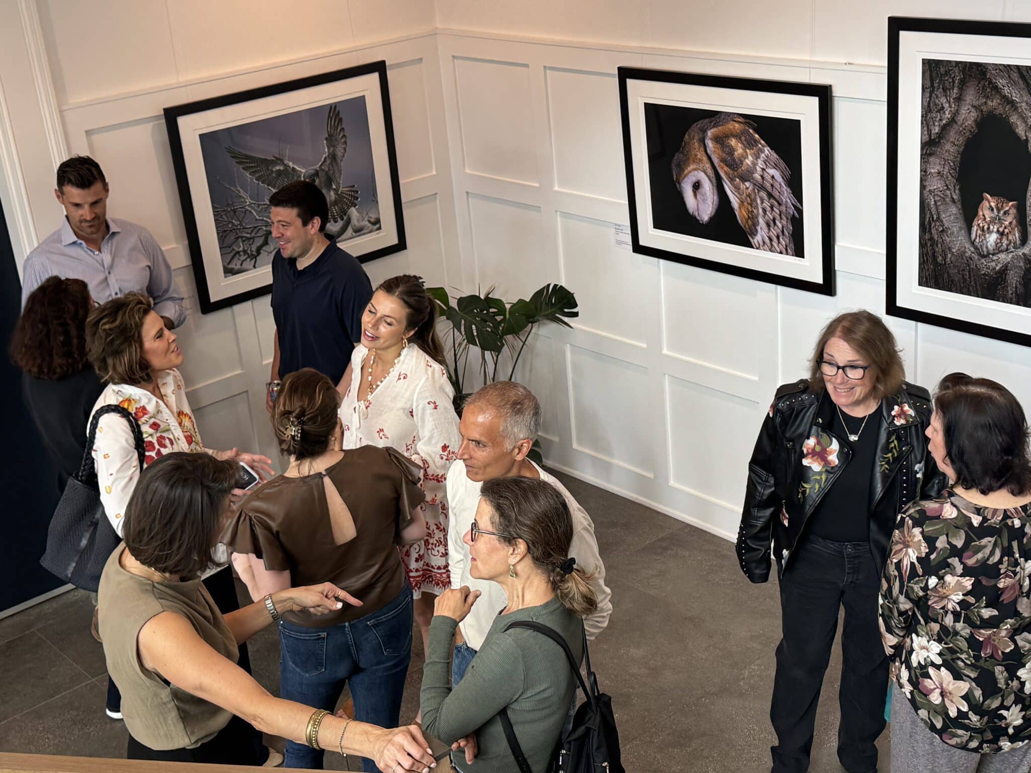 Celebrating Wildlife Through the Lens: An Evening of Art and ...