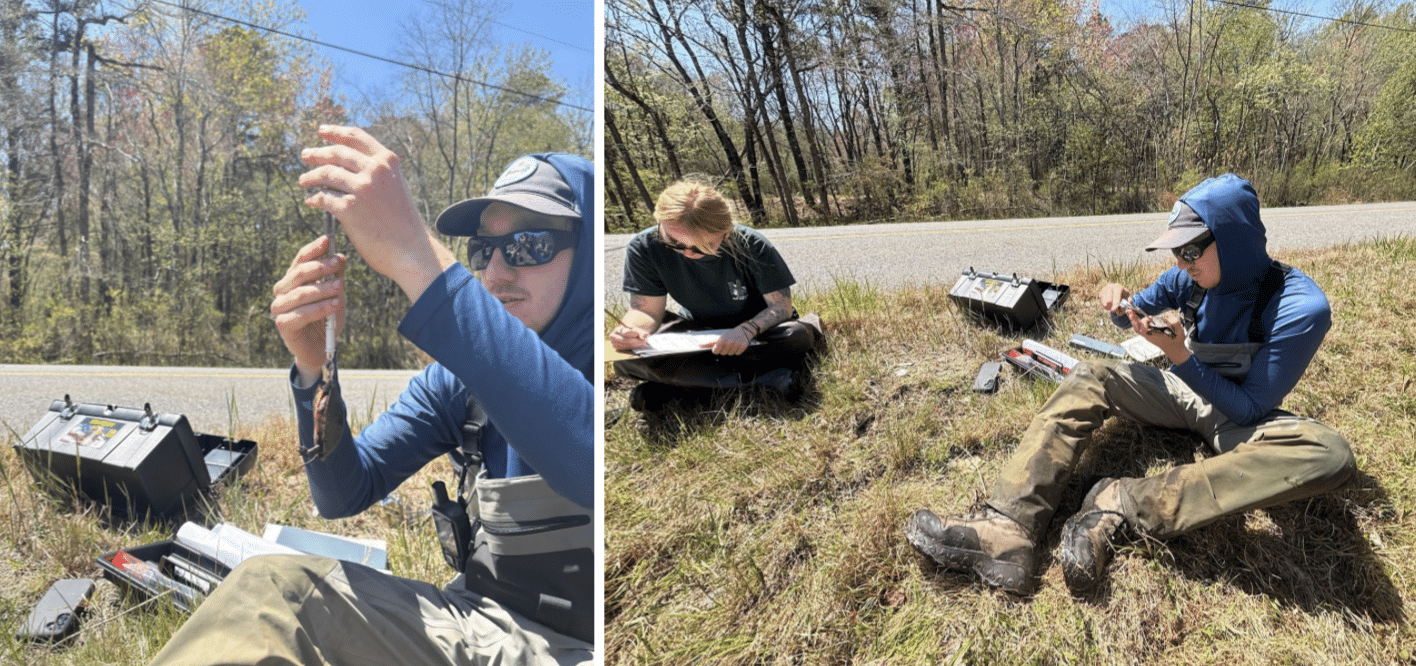 Connecting the Spots: Field Research on New Jersey’s Spotted Turtles ...