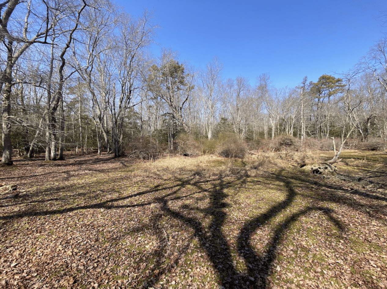 Connecting the Spots: Field Research on New Jersey’s Spotted Turtles ...
