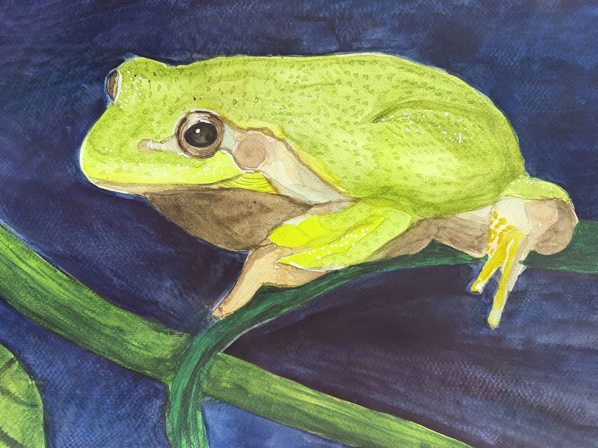 2026 SPECIES ON THE EDGE ART & ESSAY CONTEST WINNERS ANNOUNCED ...